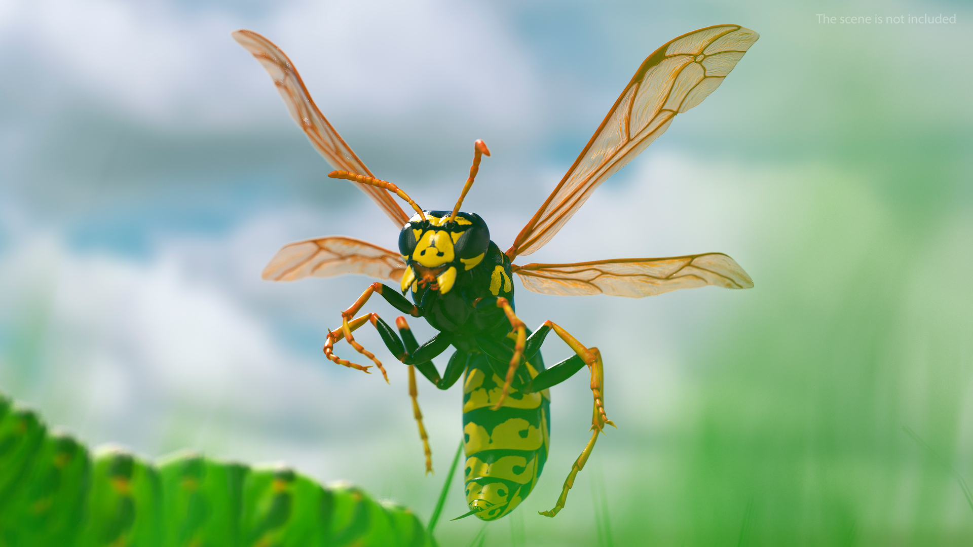 Wasp attacking pose 3D model - TurboSquid 1625235