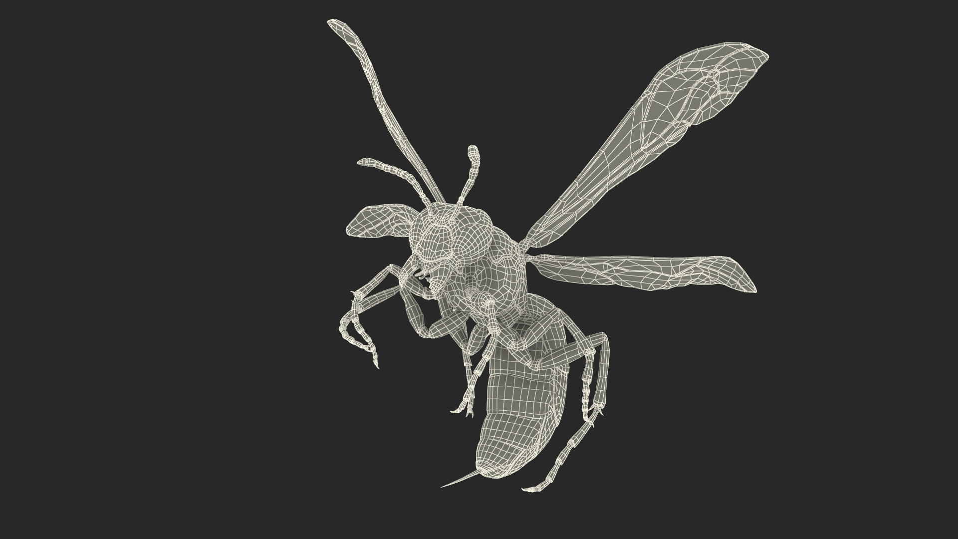 Wasp Attacking Pose 3D Model - TurboSquid 1625235