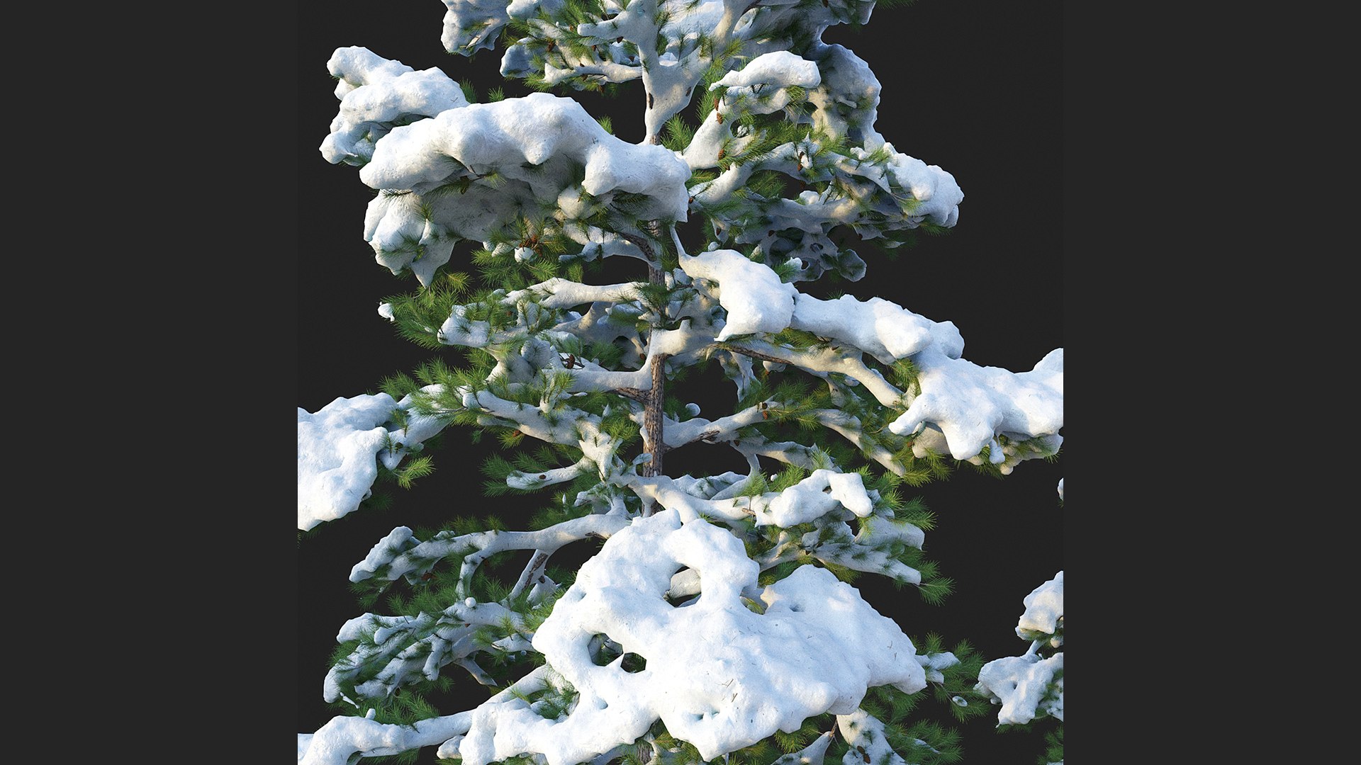 3D Pine Set 01 Snow Version - TurboSquid 1829124