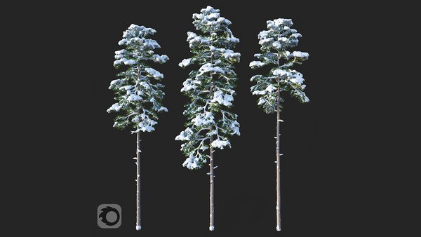 3D Pine Set 01 Snow version - TurboSquid 1829124