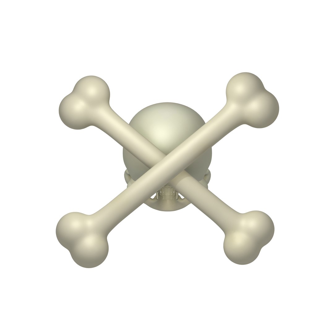 Skull Bone Cartoon 3D Model - TurboSquid 1685548