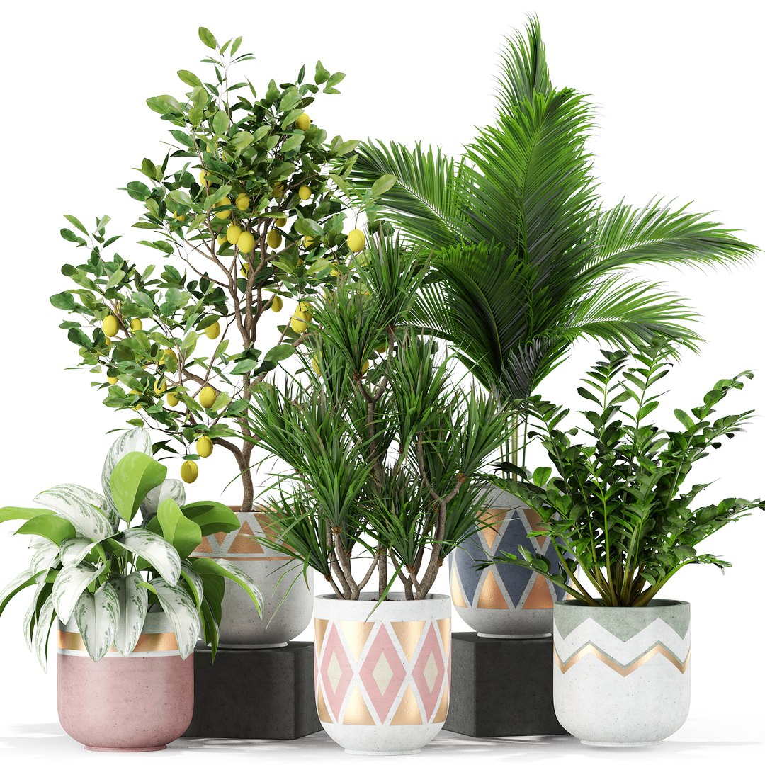 3D Plants - TurboSquid 1701054