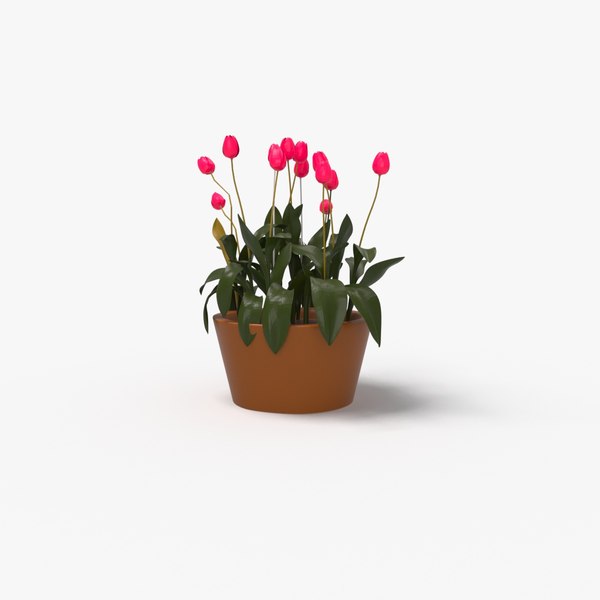 Flower Pot model - TurboSquid 2027378