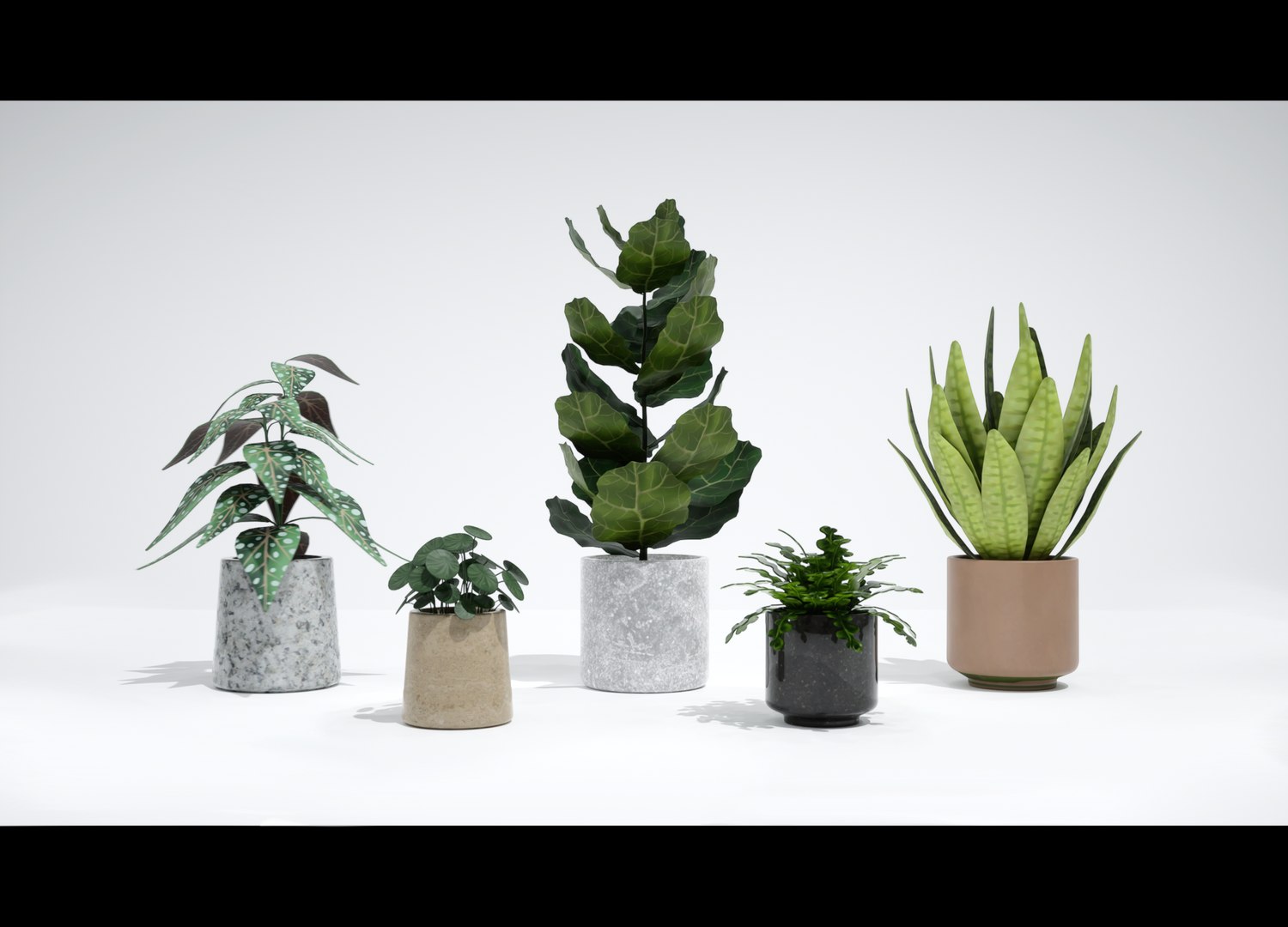 3D модель Plant Pots Indoor Low Poly Game Ready - TurboSquid 2019391