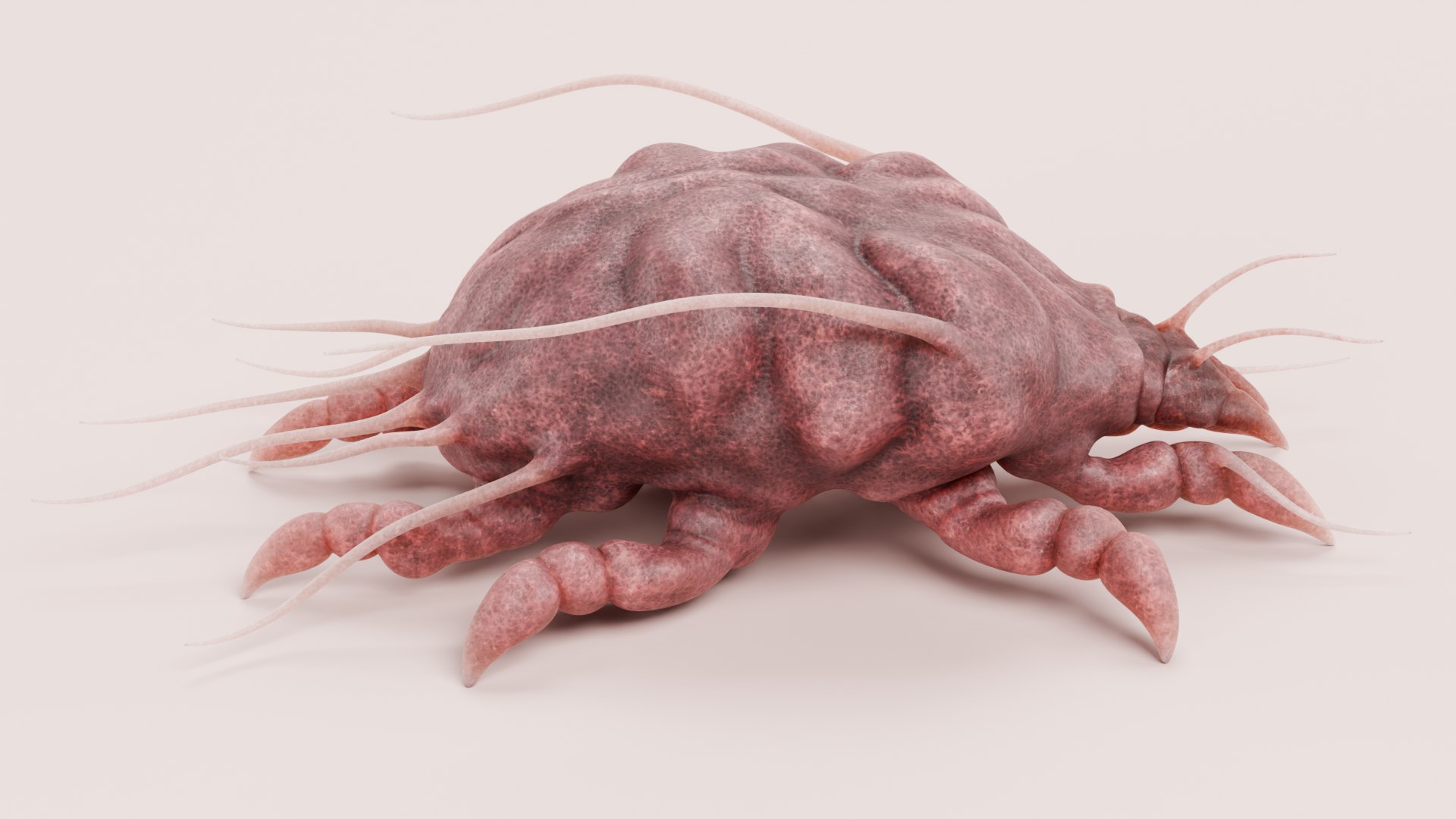 Scabies Mite 3D Model - TurboSquid 2441467