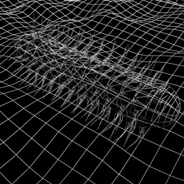 3d e coli bacteria cell model