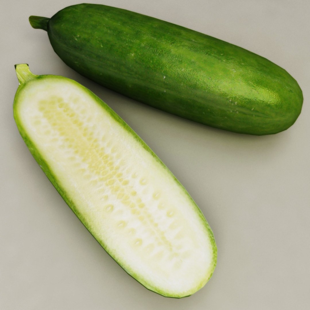 3d Model Cucumber Modelled