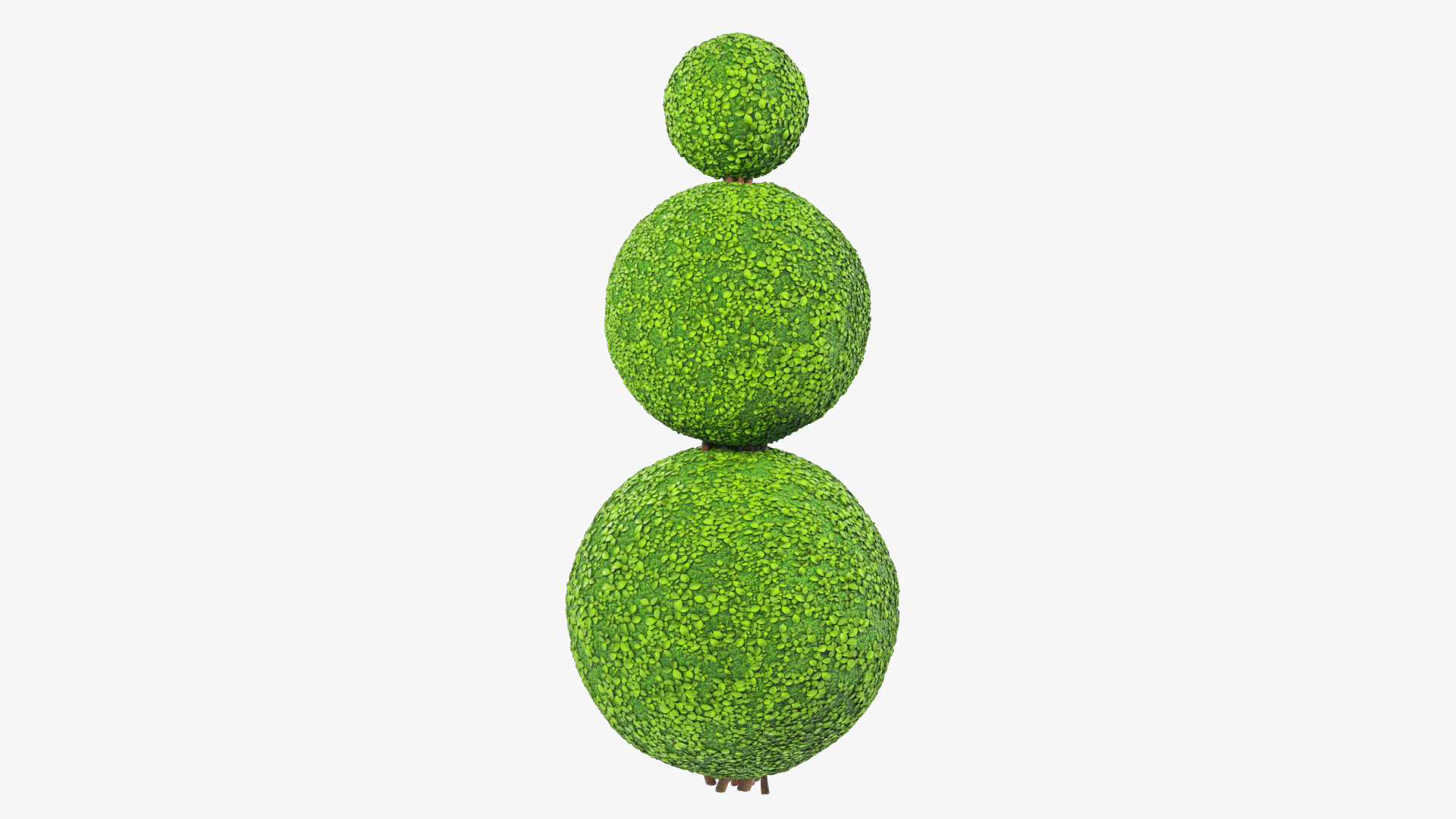 3D Sphere Bush V5 - TurboSquid 2096517
