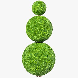 Topiary 3D Models for Download | TurboSquid