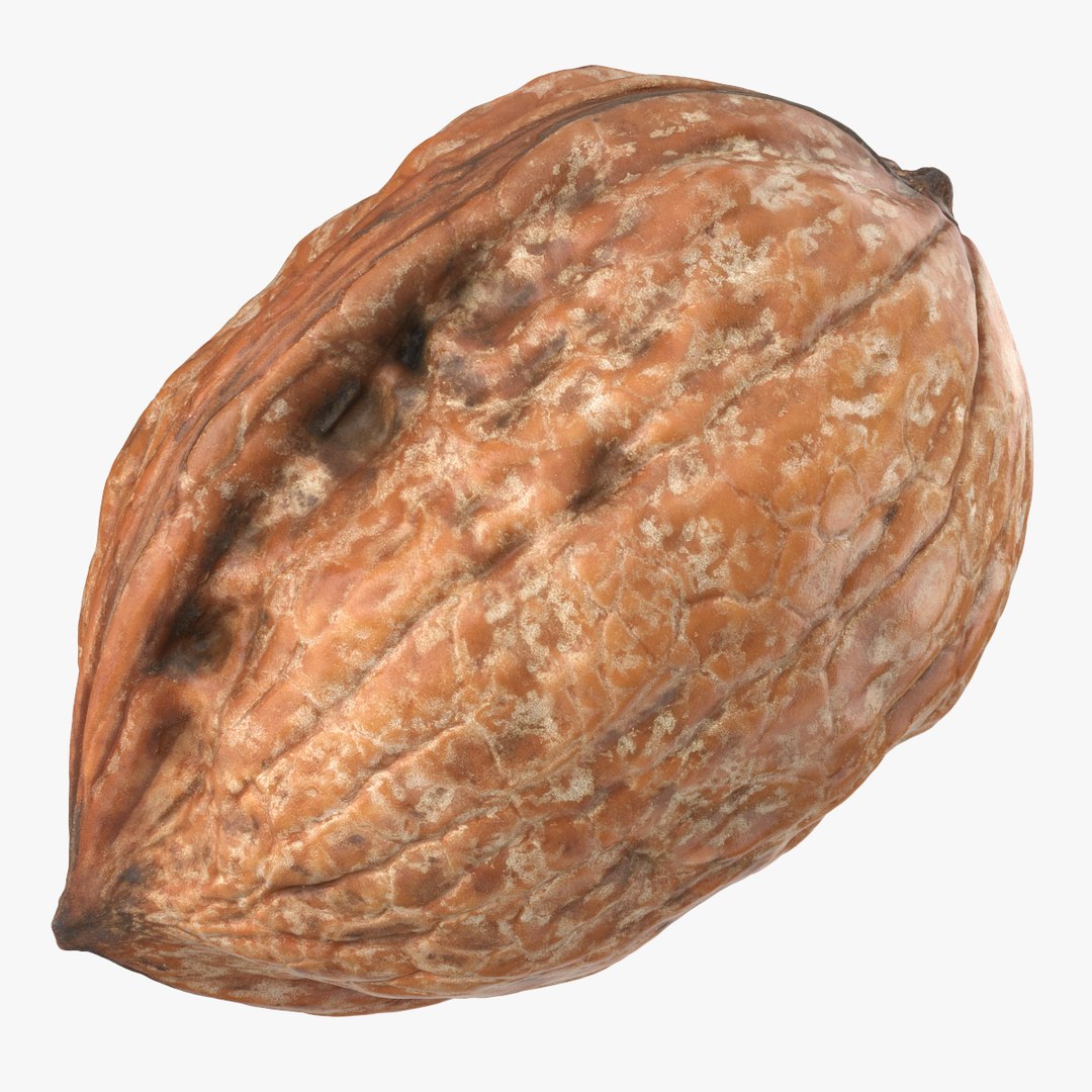 3D walnuts 02 - TurboSquid 1463768