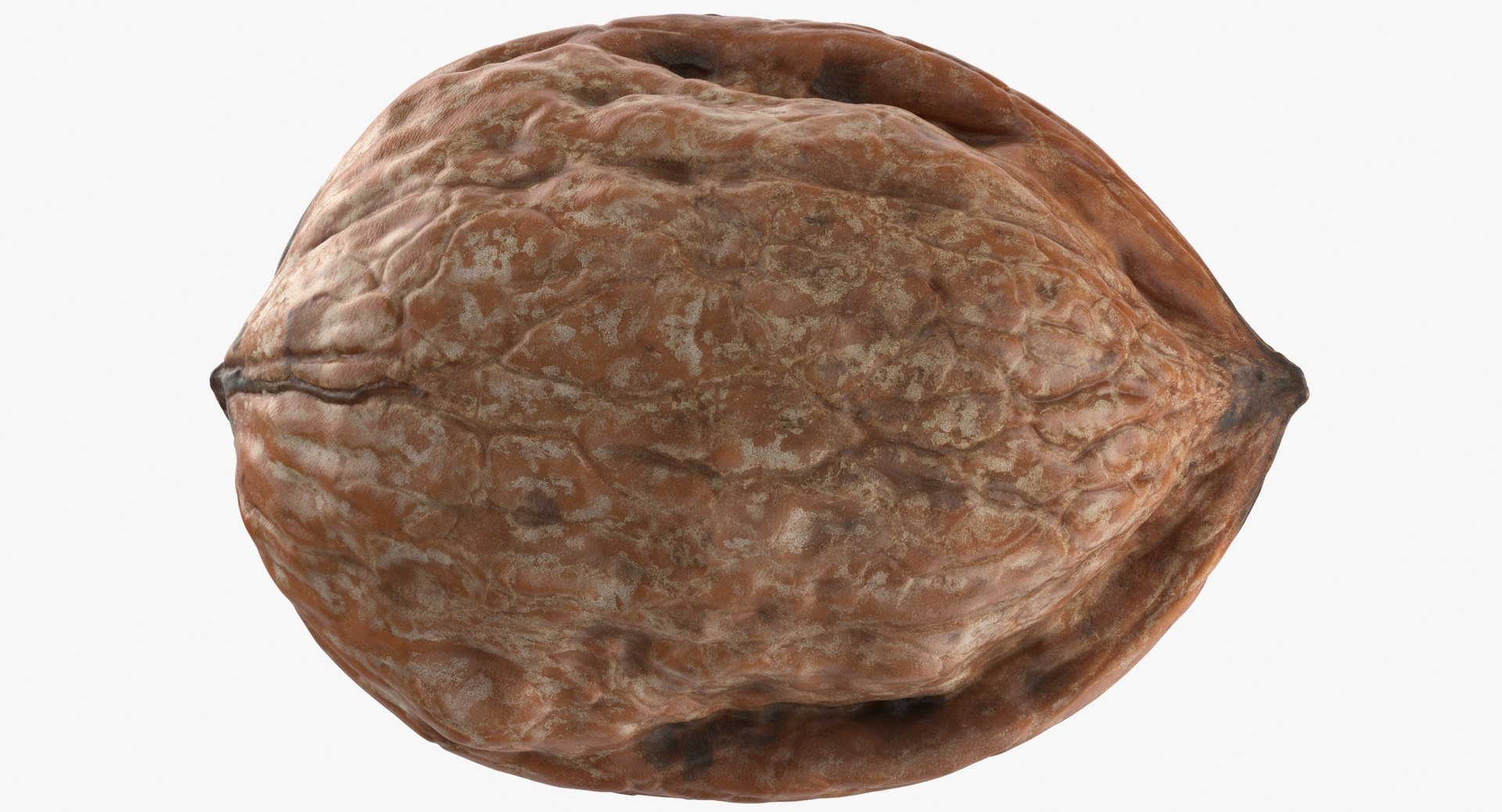 3D walnuts 02 - TurboSquid 1463768