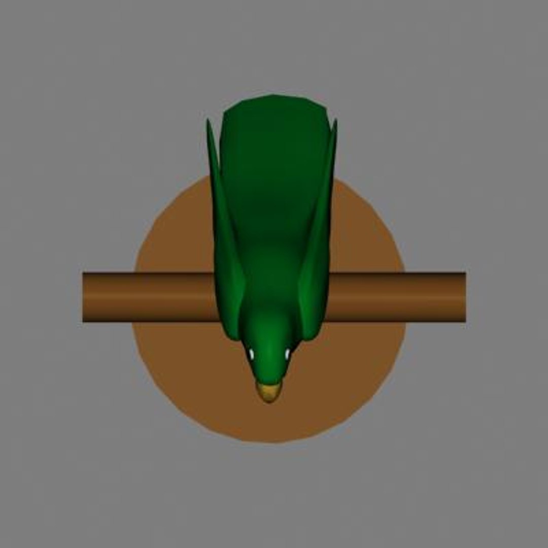 3d Parrot Bird
