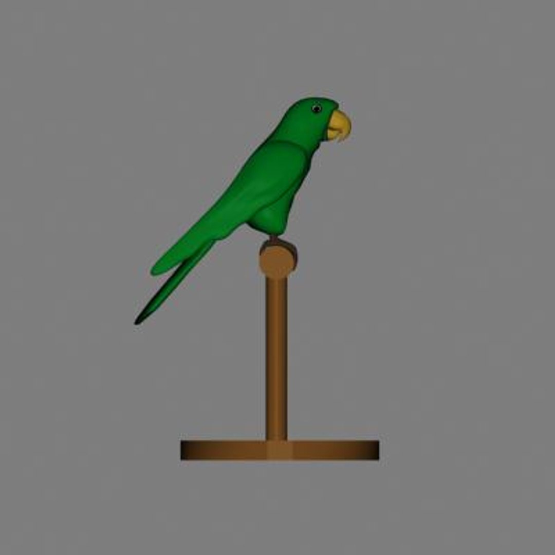 3d Parrot Bird