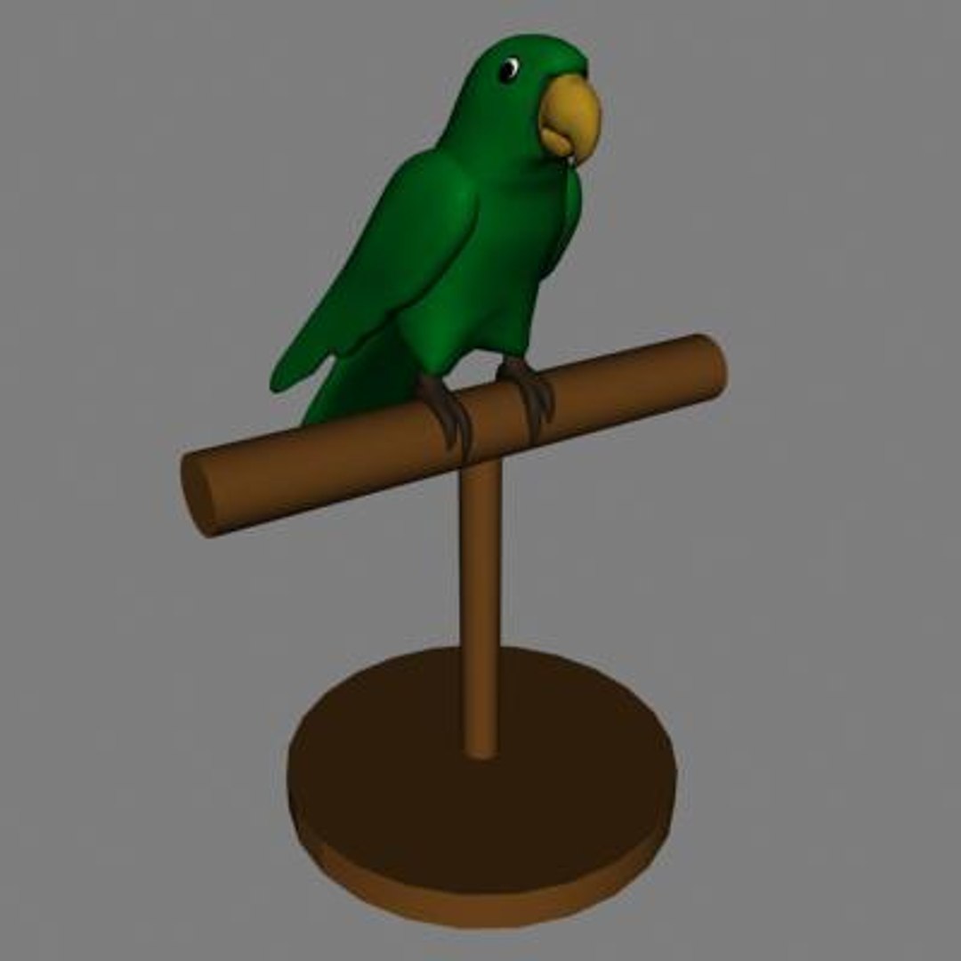 3d Parrot Bird