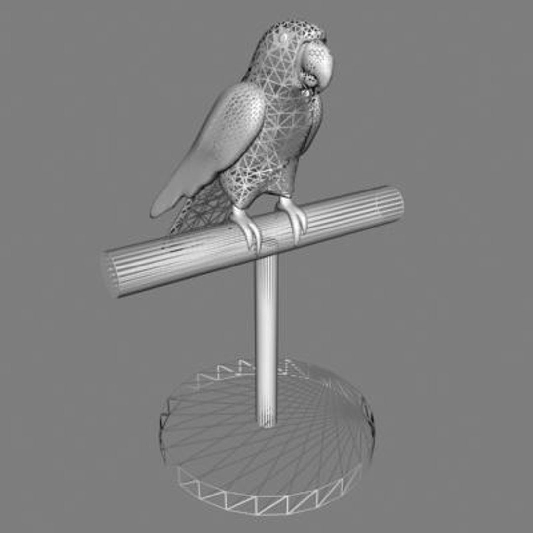 3d Parrot Bird