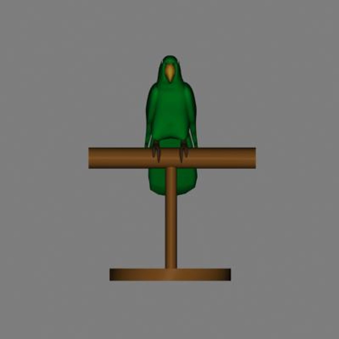 3d Parrot Bird
