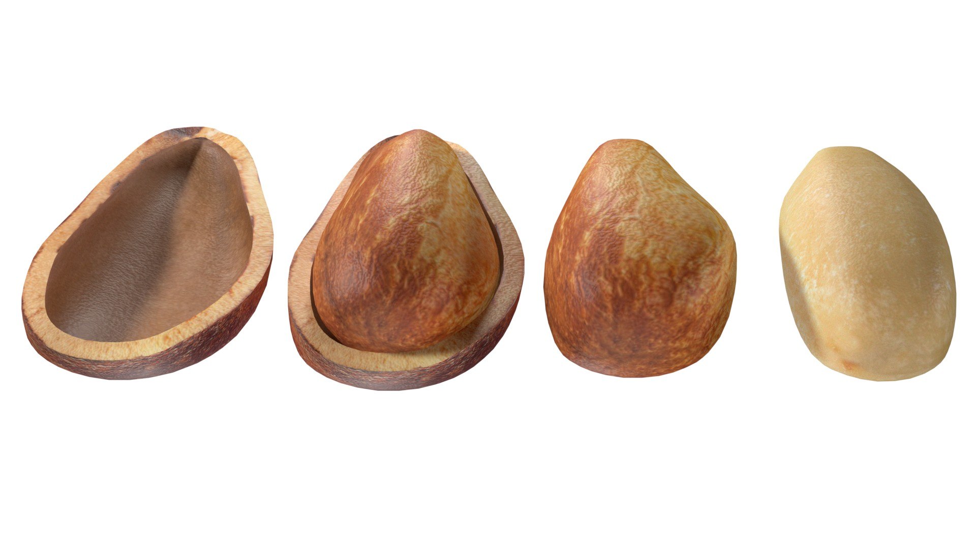 3D Cedar Nut Model - TurboSquid 2406468