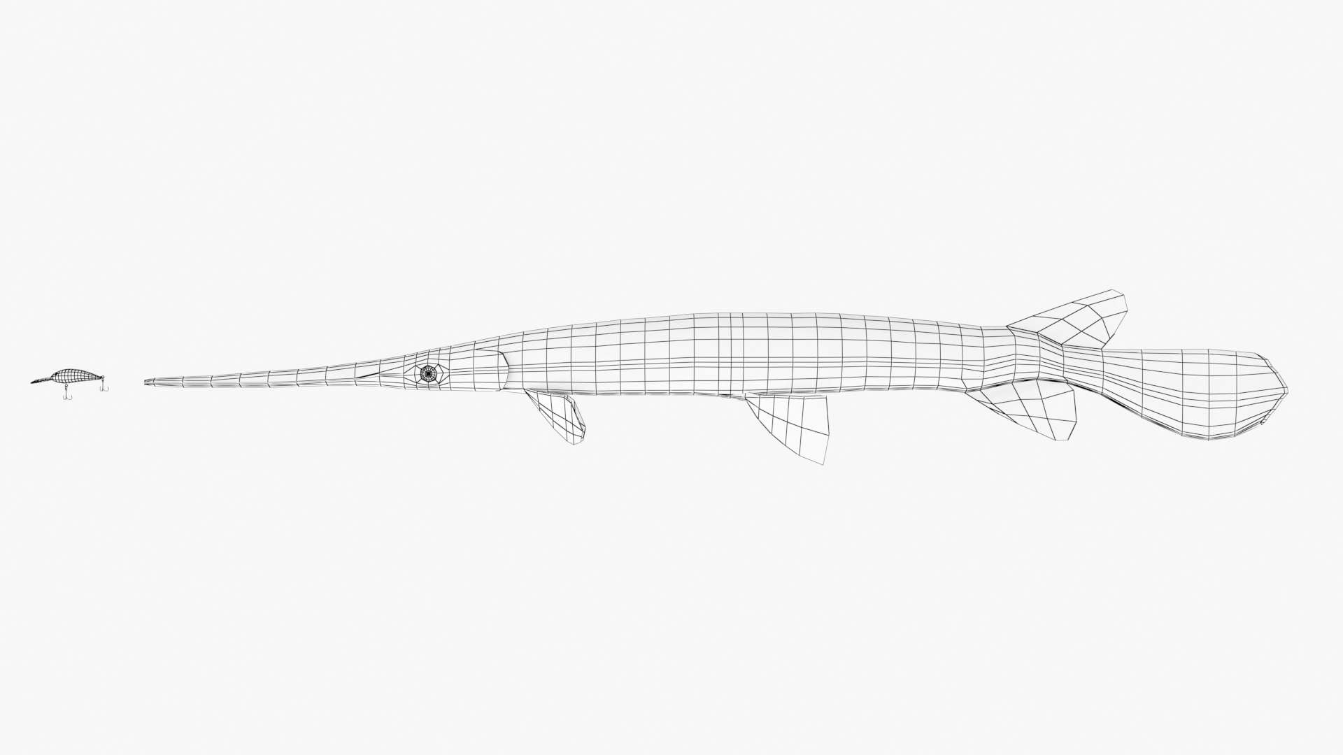 Longnose Gar Fish 3D Model - TurboSquid 1699308