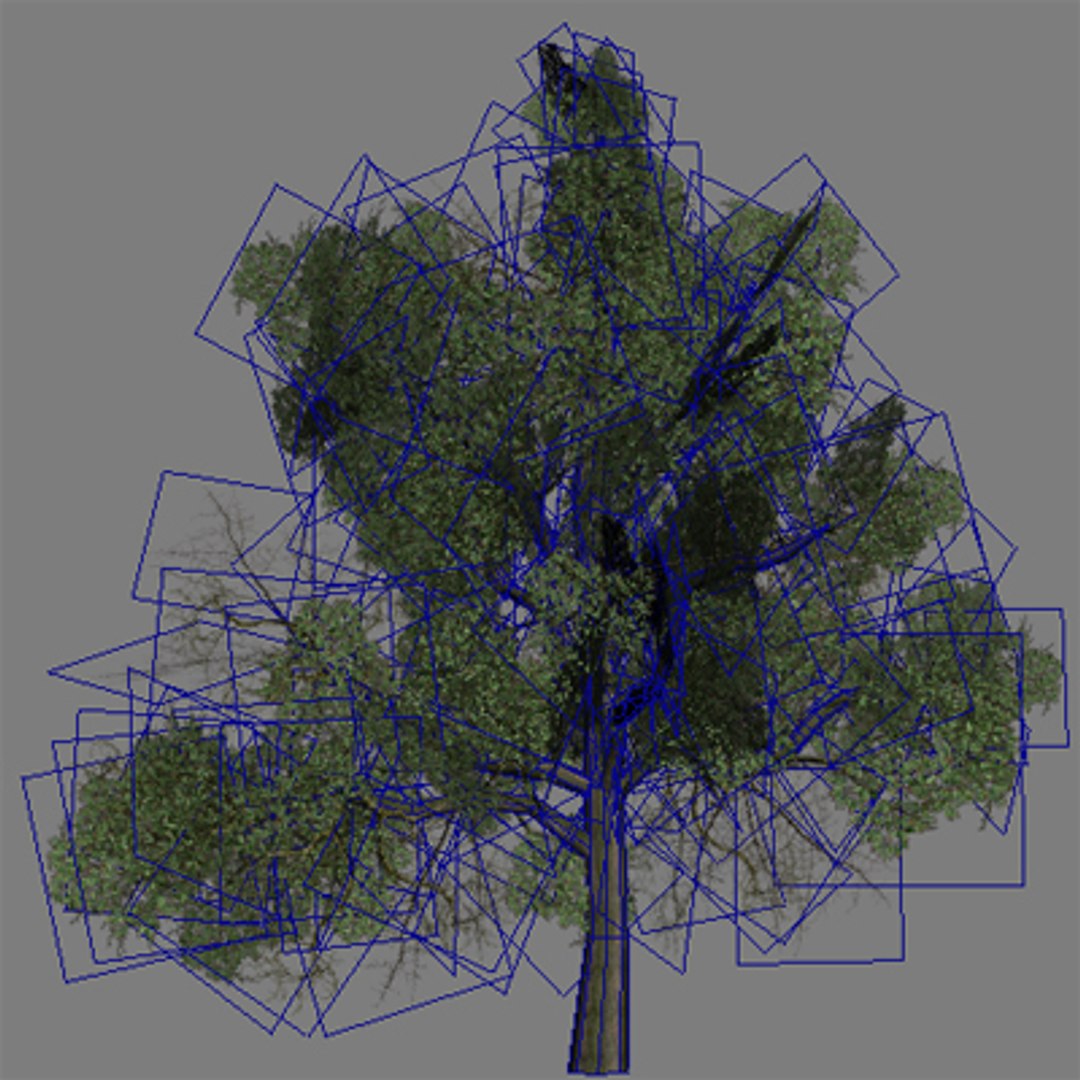 Max Pc Tree