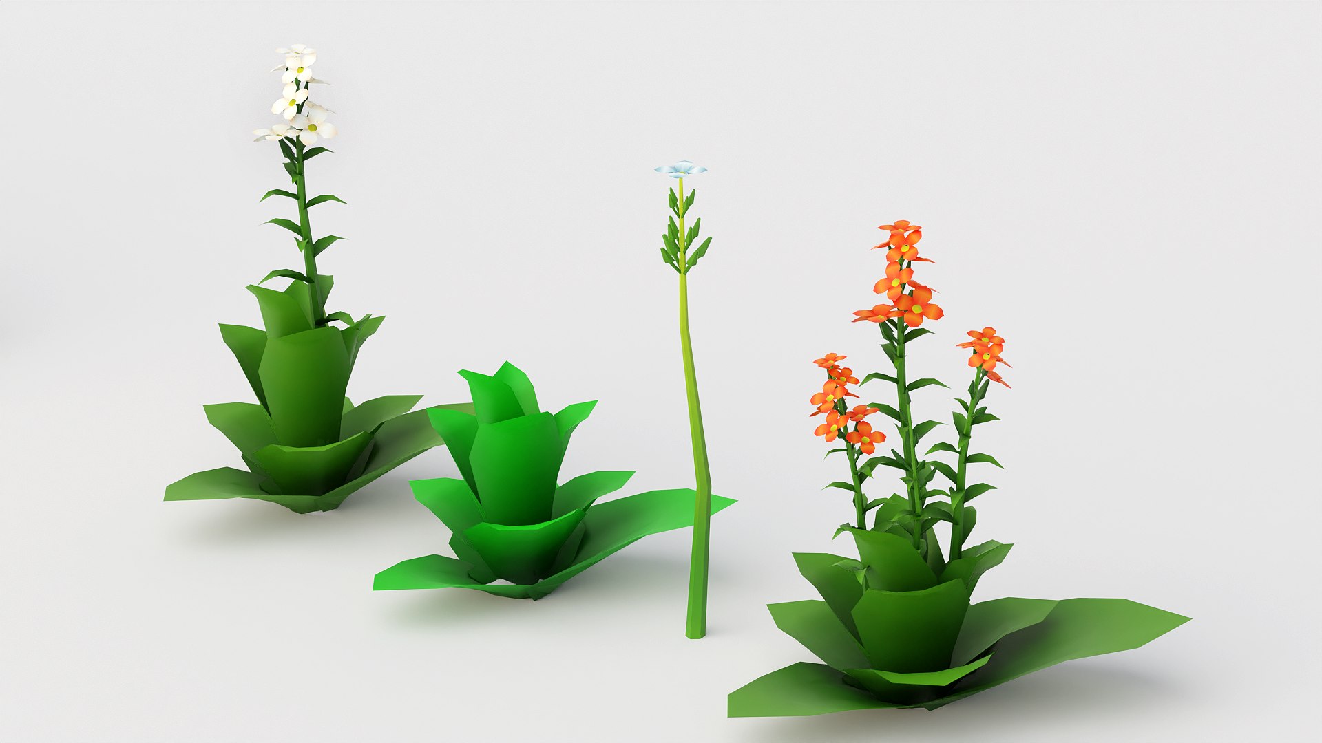 3D Flowers Asset Model - TurboSquid 1965787
