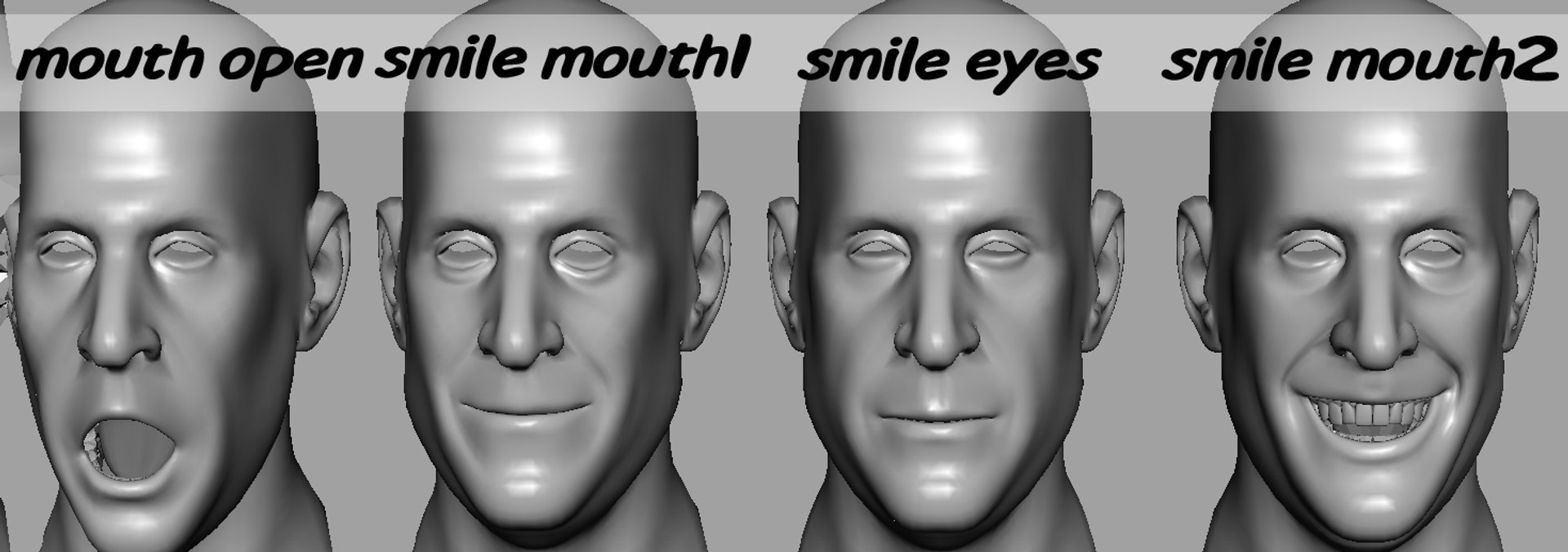 Male Human Head 3d Model