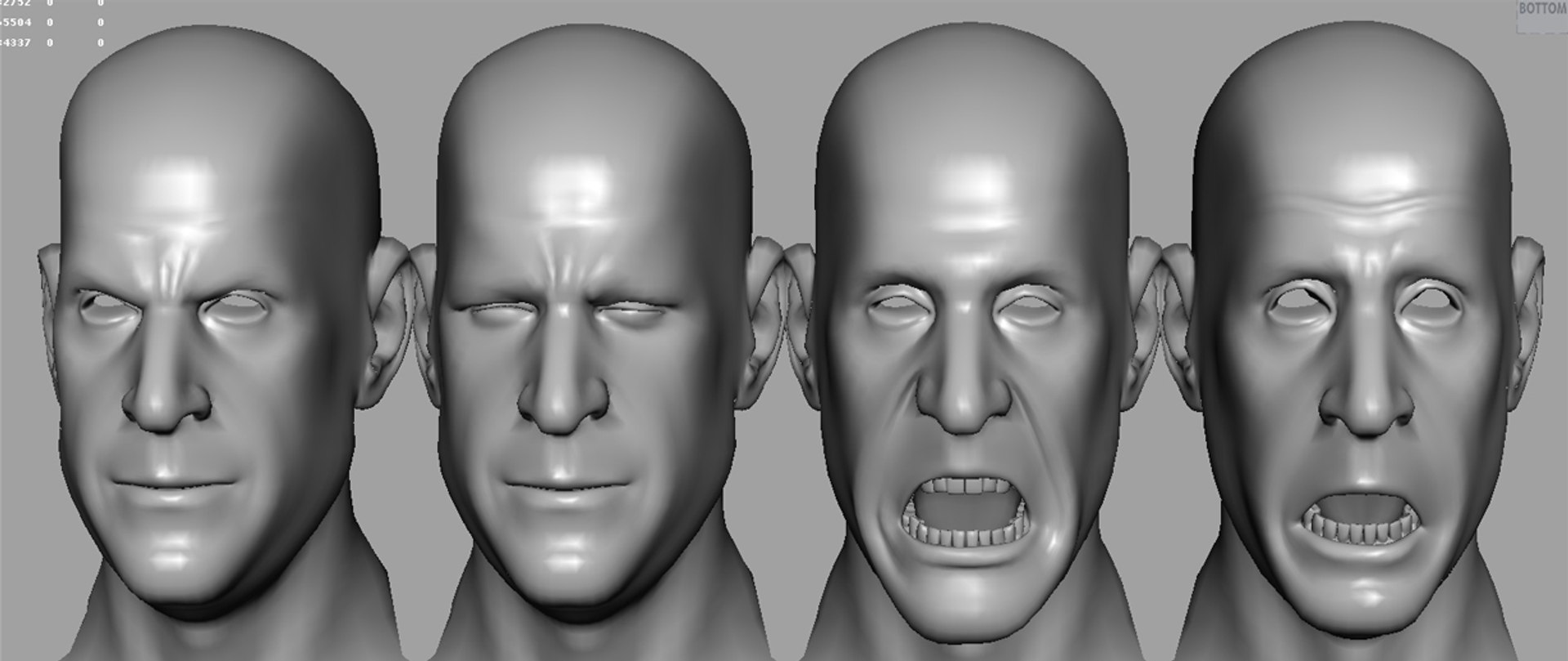 Male Human Head 3d Model