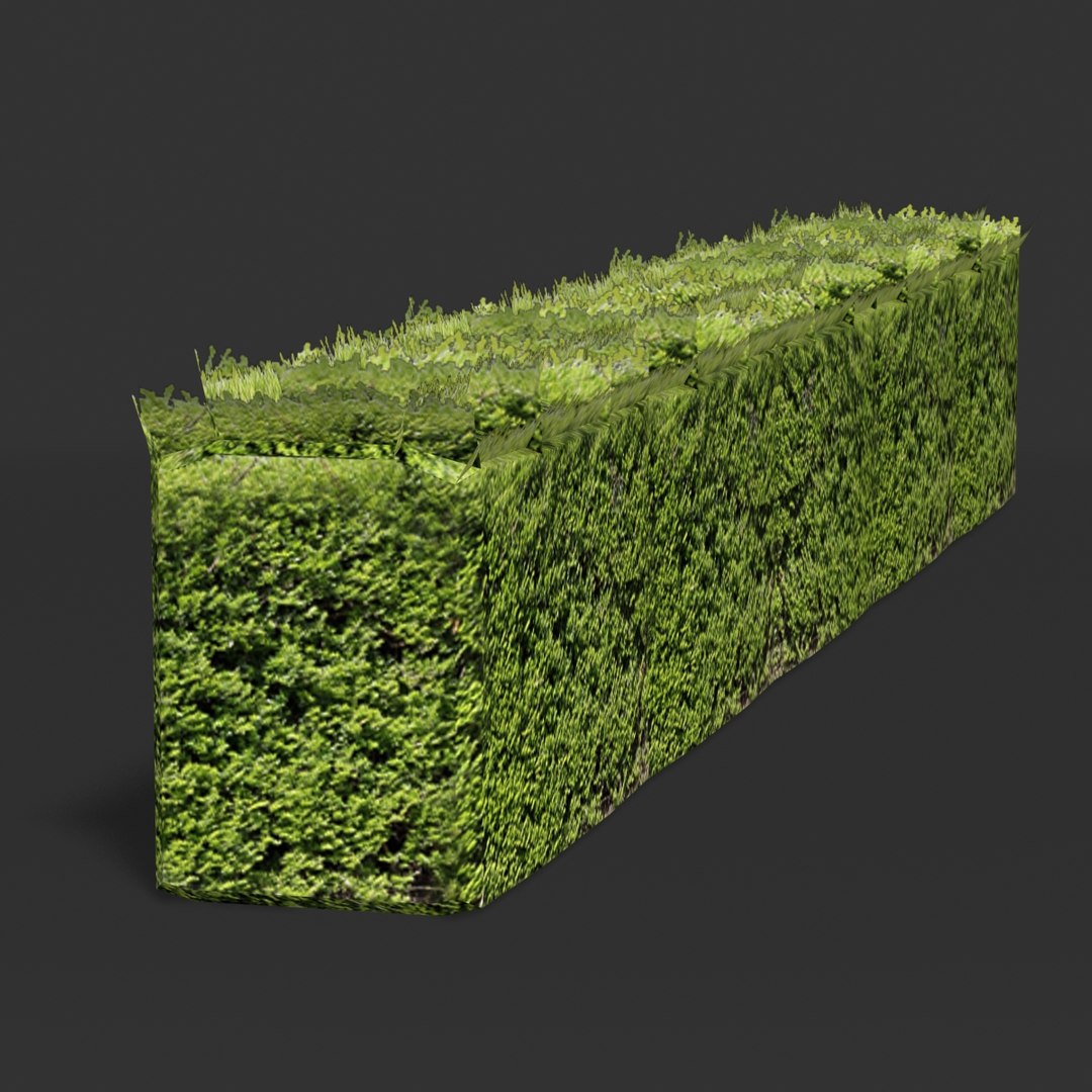 3d Model Of Hedgerow Hedge