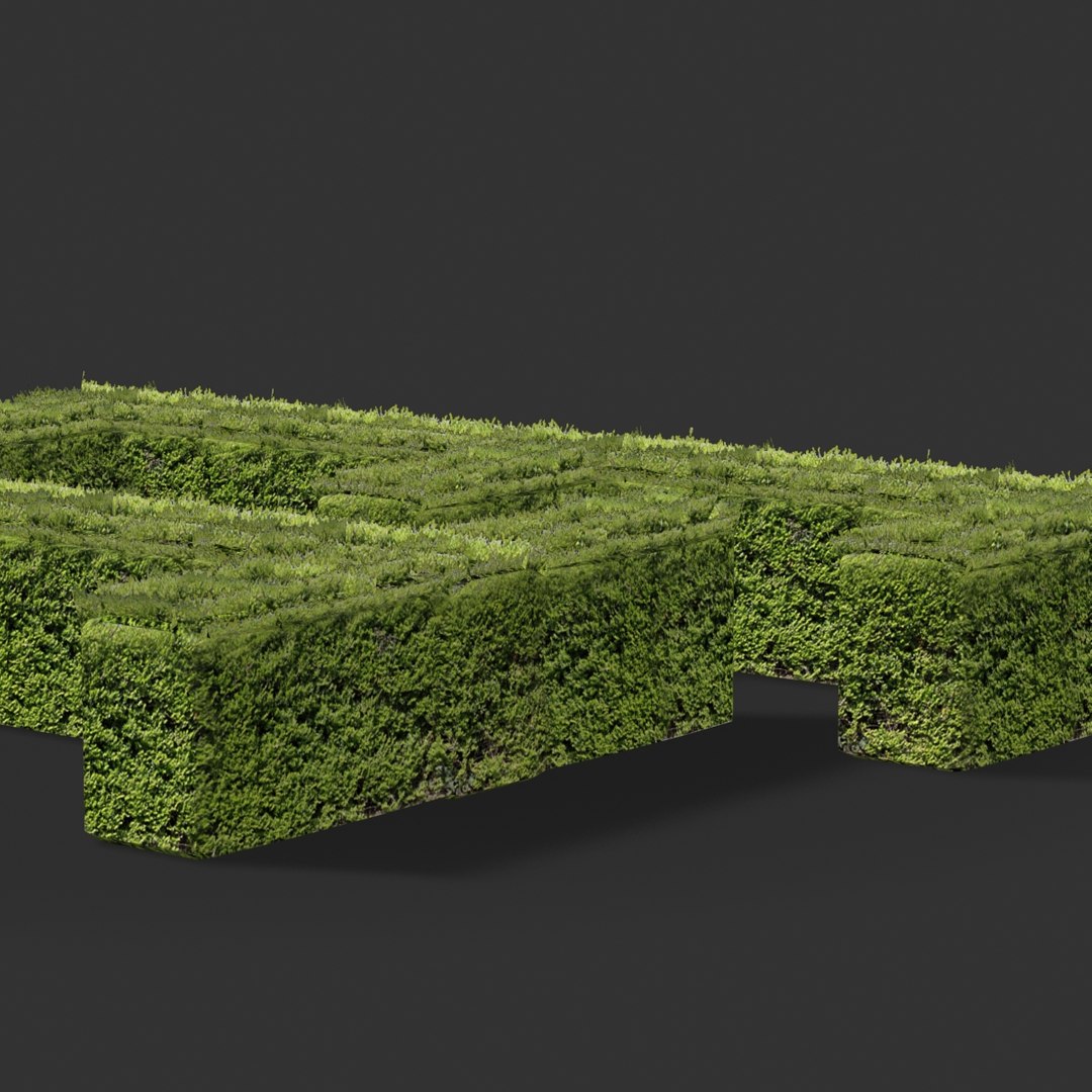 3d Model Of Hedgerow Hedge