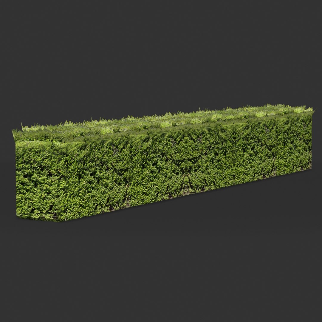 3d Model Of Hedgerow Hedge