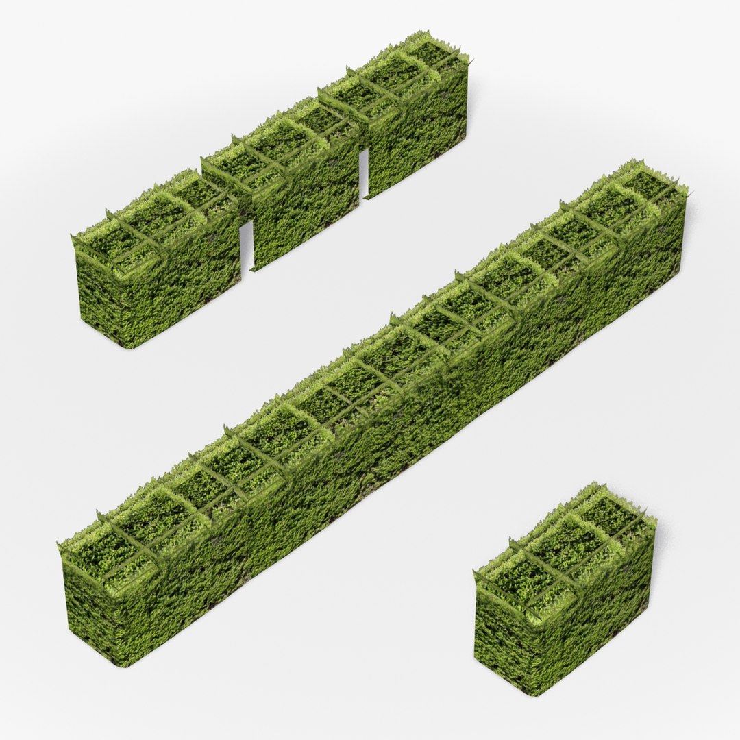 3d Model Of Hedgerow Hedge