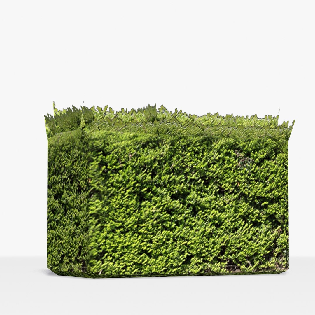 3d Model Of Hedgerow Hedge