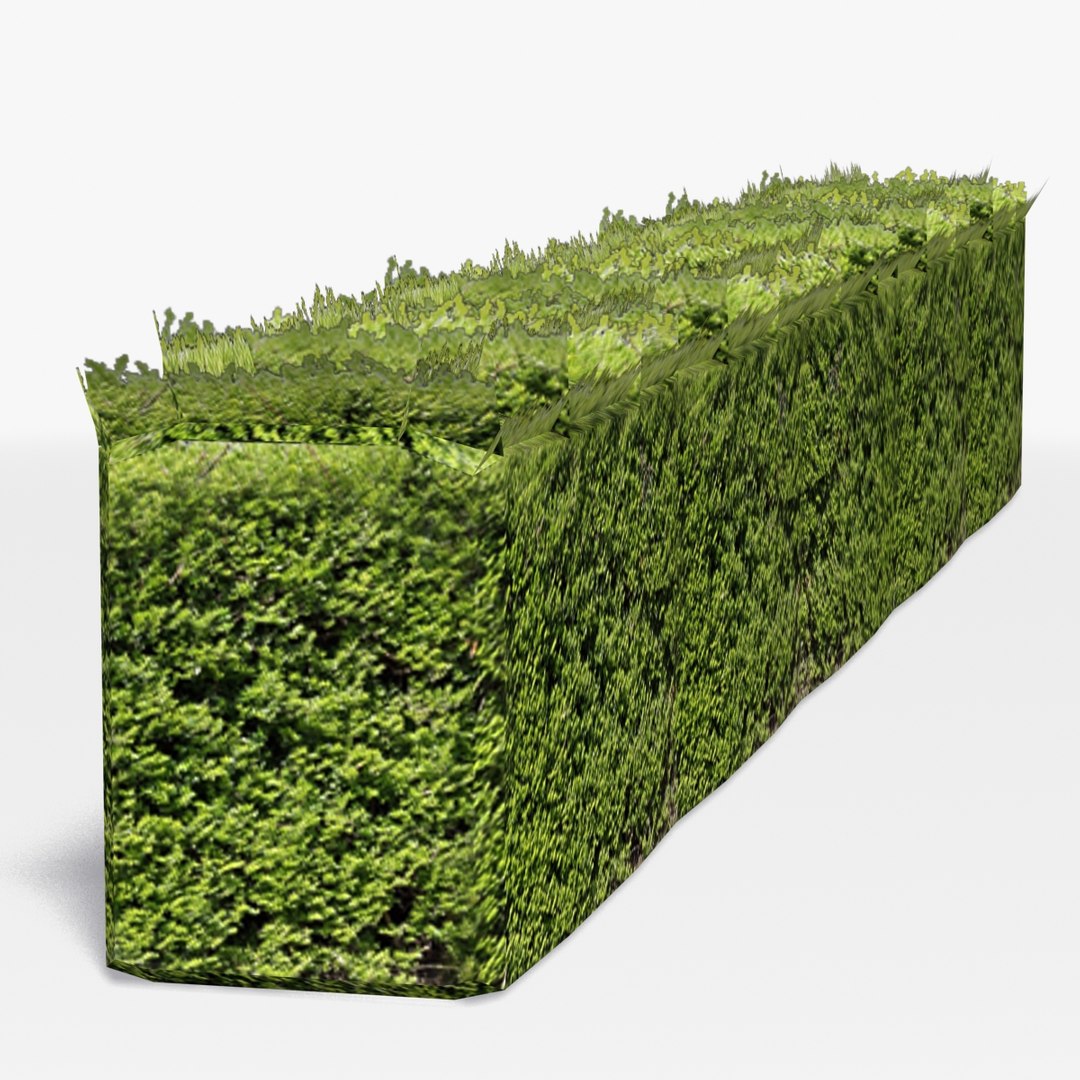 3d Model Of Hedgerow Hedge