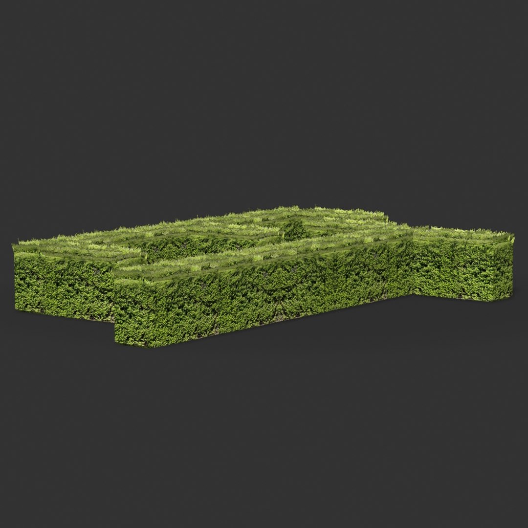 3d Model Of Hedgerow Hedge