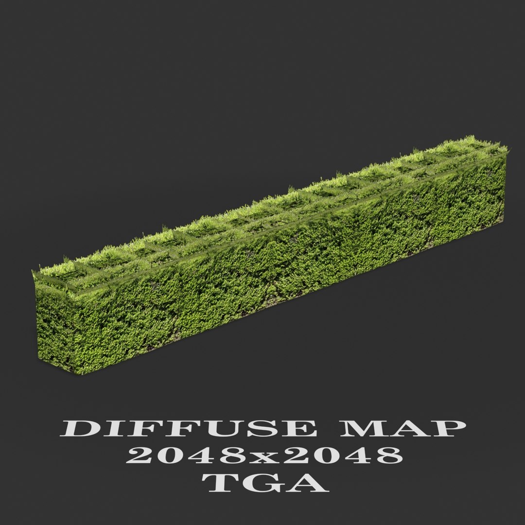 3d Model Of Hedgerow Hedge