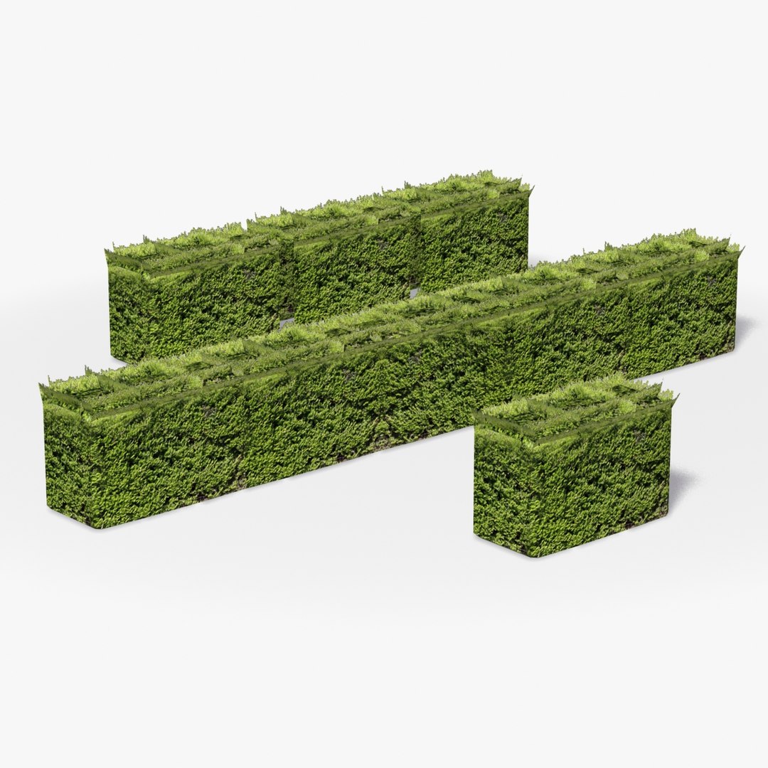 3d Model Of Hedgerow Hedge