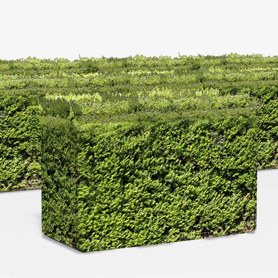 3d Model Of Hedgerow Hedge