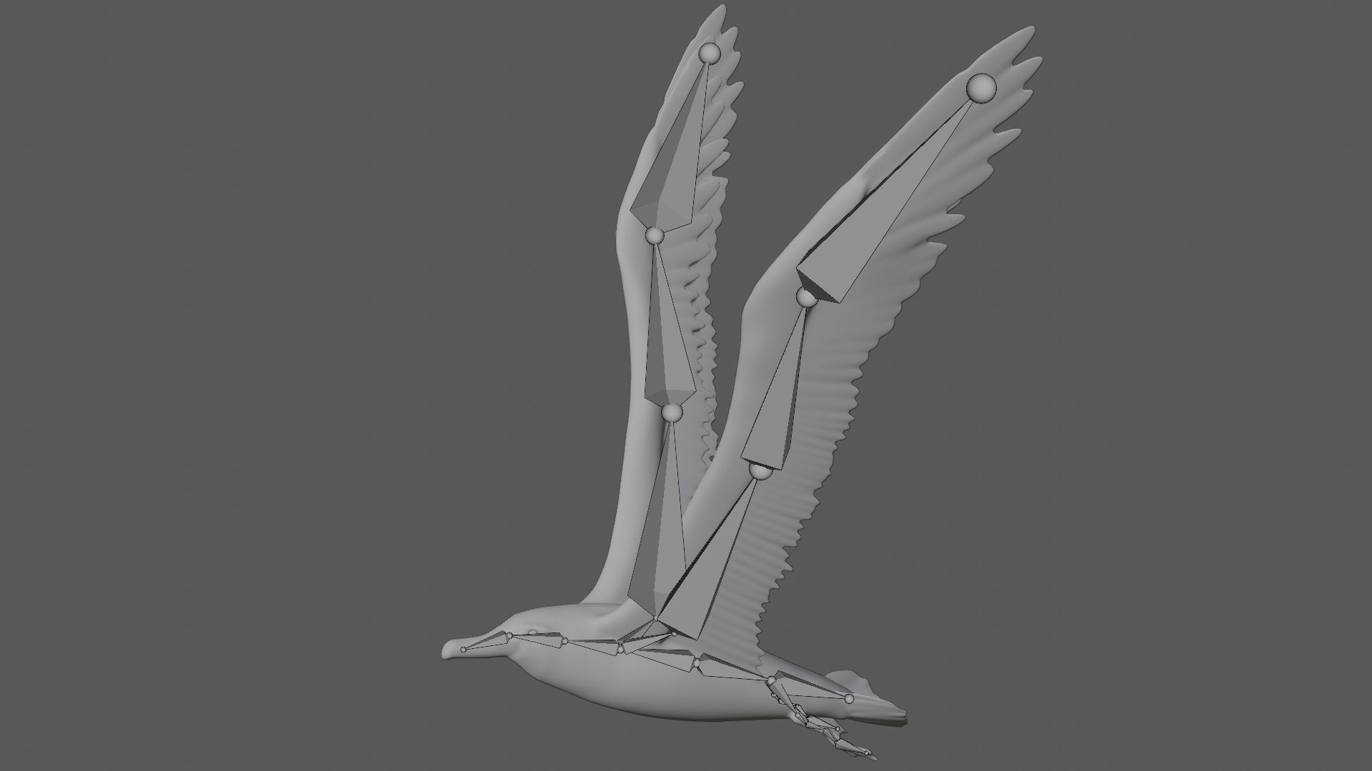 Fully Rigged Low Poly Albatross 3D Model - TurboSquid 1750532