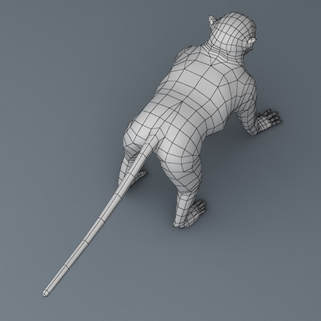 3d Model Rhesus Macaque Rigged Biped