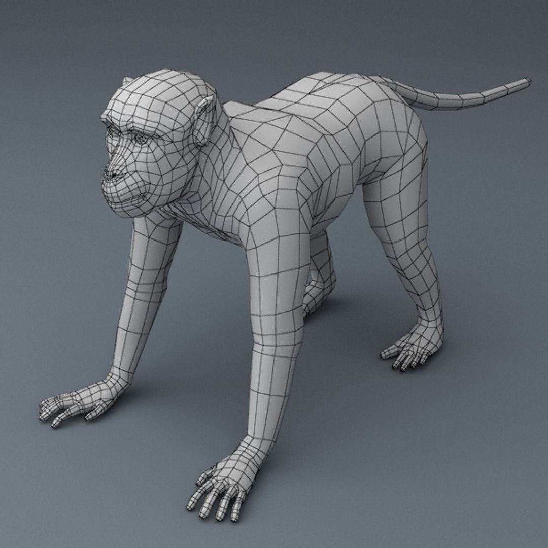 3d Model Rhesus Macaque Rigged Biped