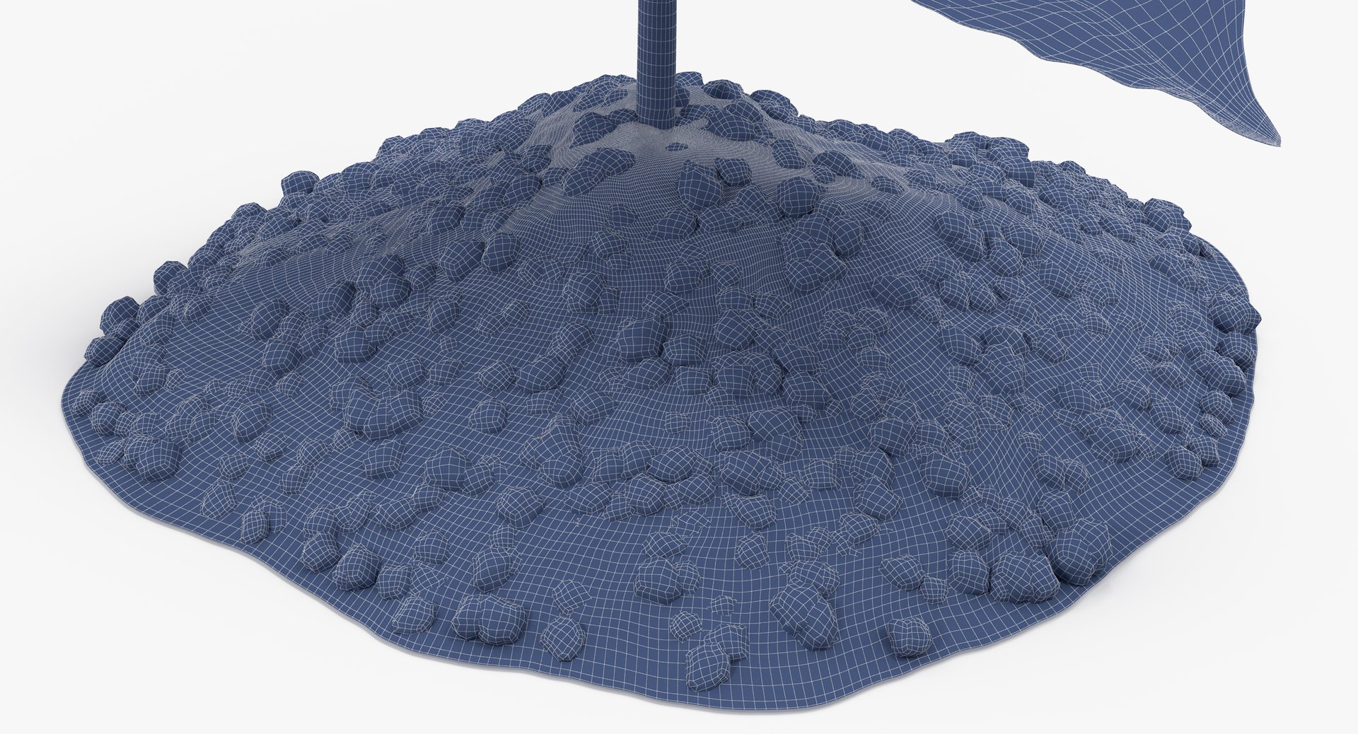 3d Plant Sprout Model