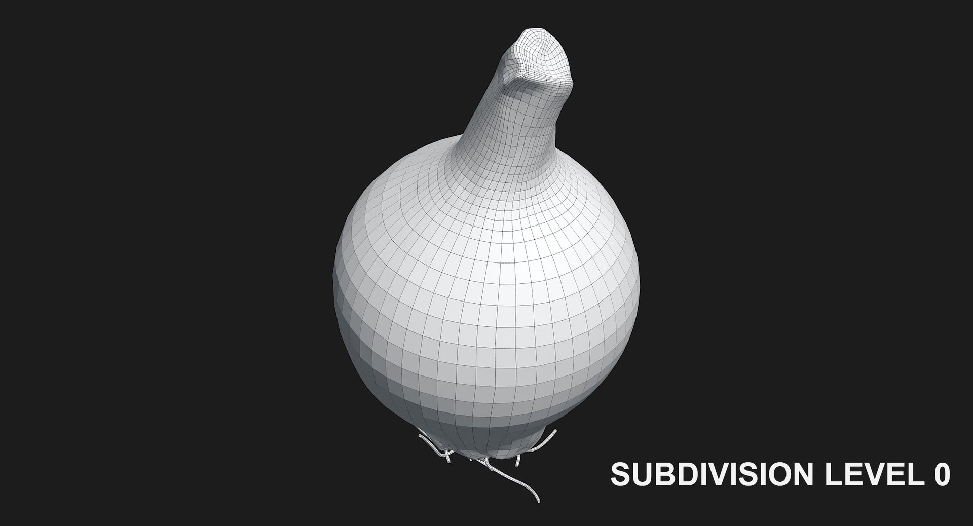 3d Model Onion