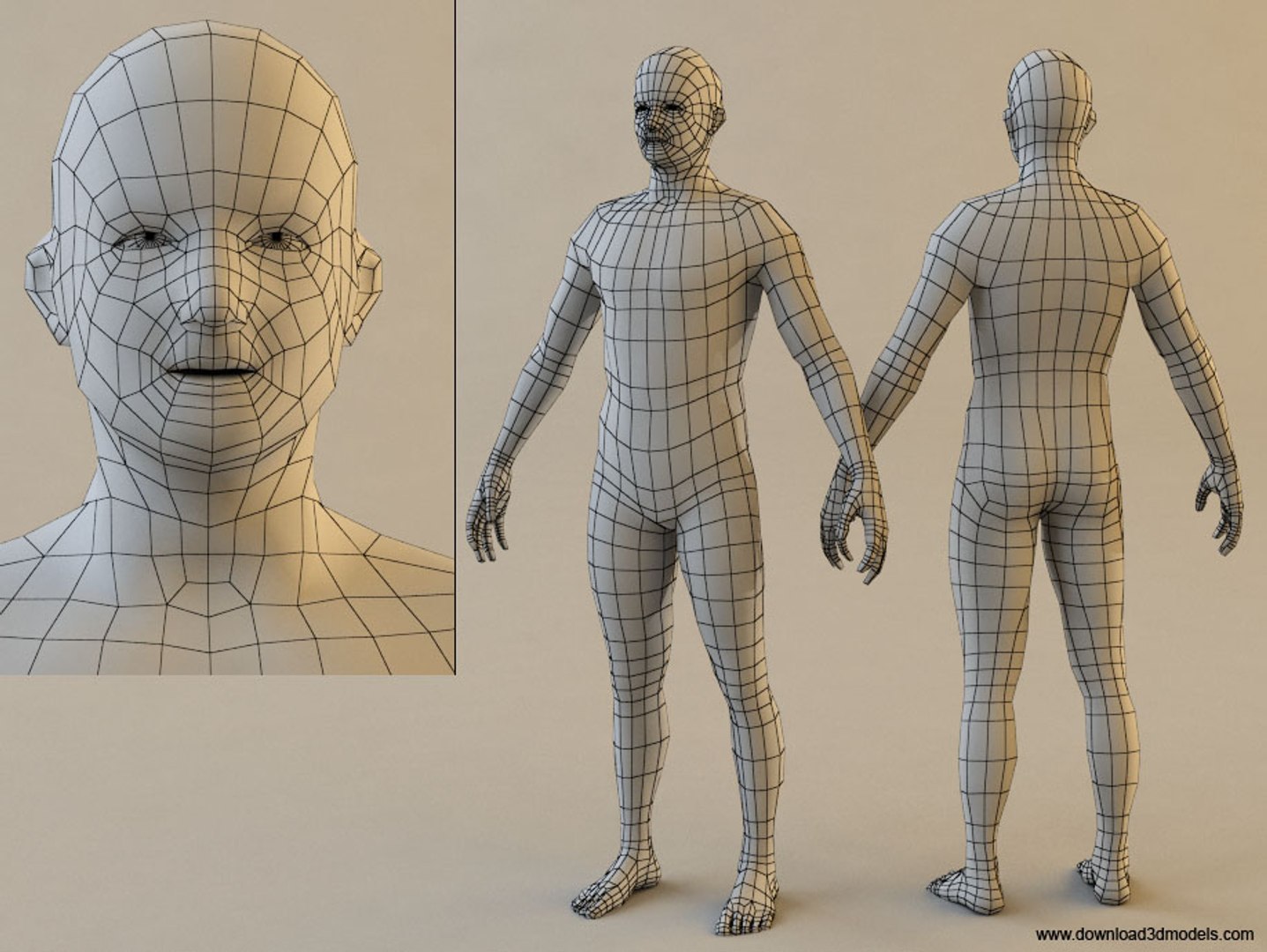 Human Male Man 3d Model