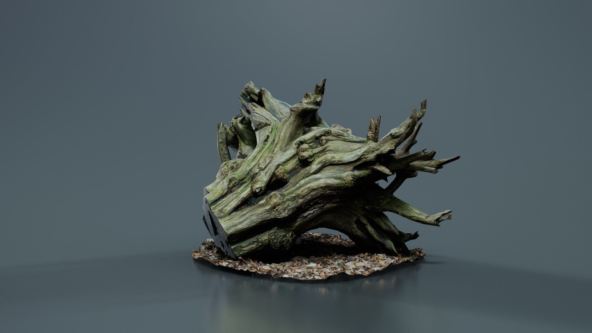 Intricate Tree Root Stump Remastered 3D Model - TurboSquid 2363145