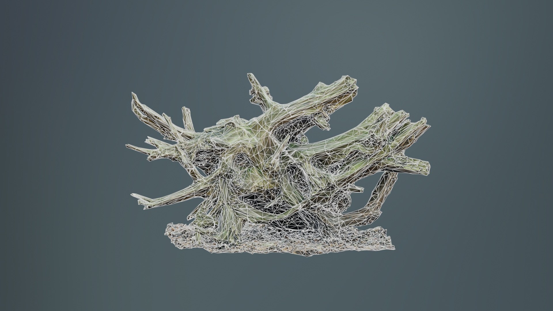 Intricate Tree Root Stump Remastered 3D Model - TurboSquid 2363145