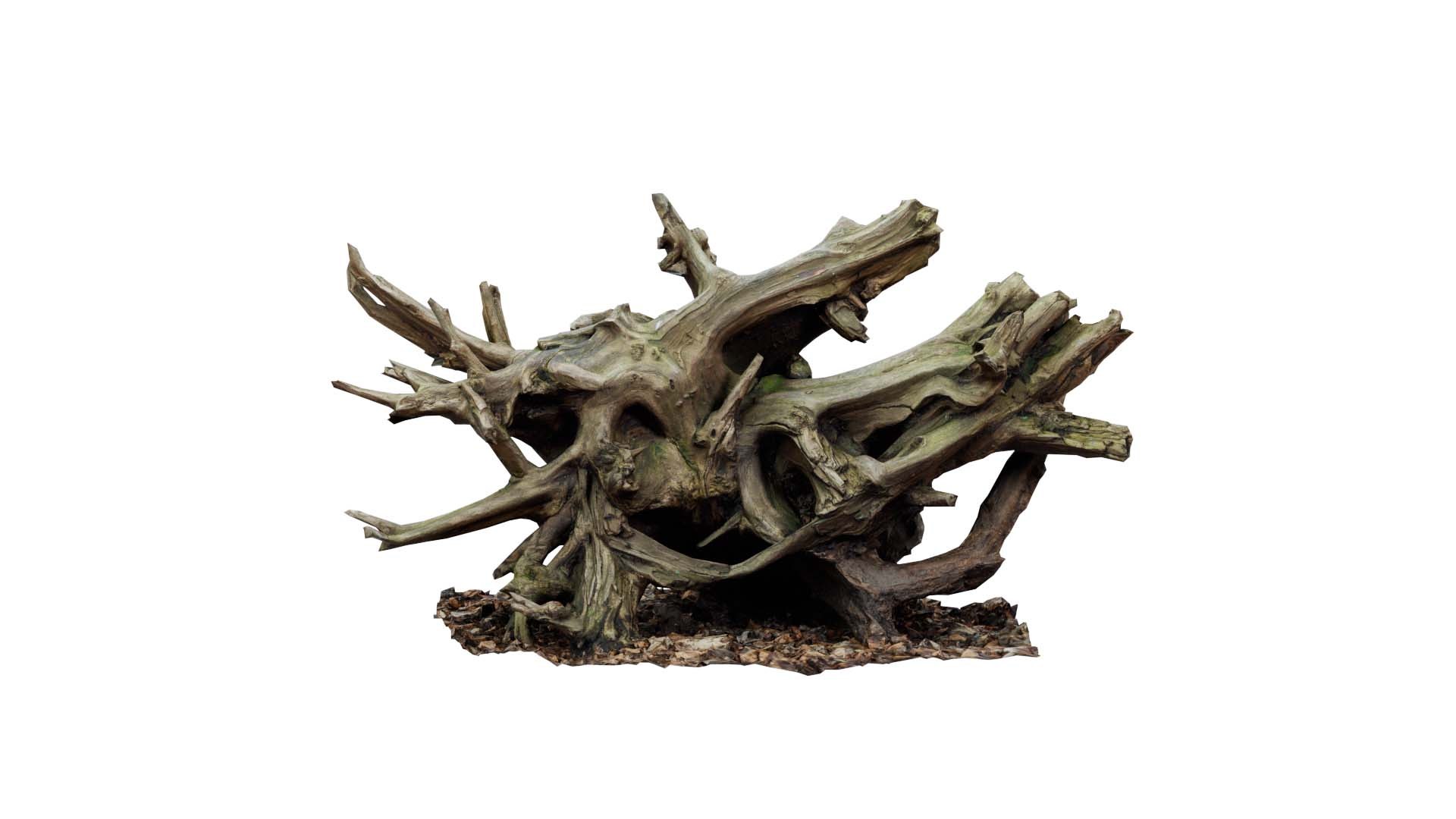 Intricate Tree Root Stump Remastered 3D Model - TurboSquid 2363145
