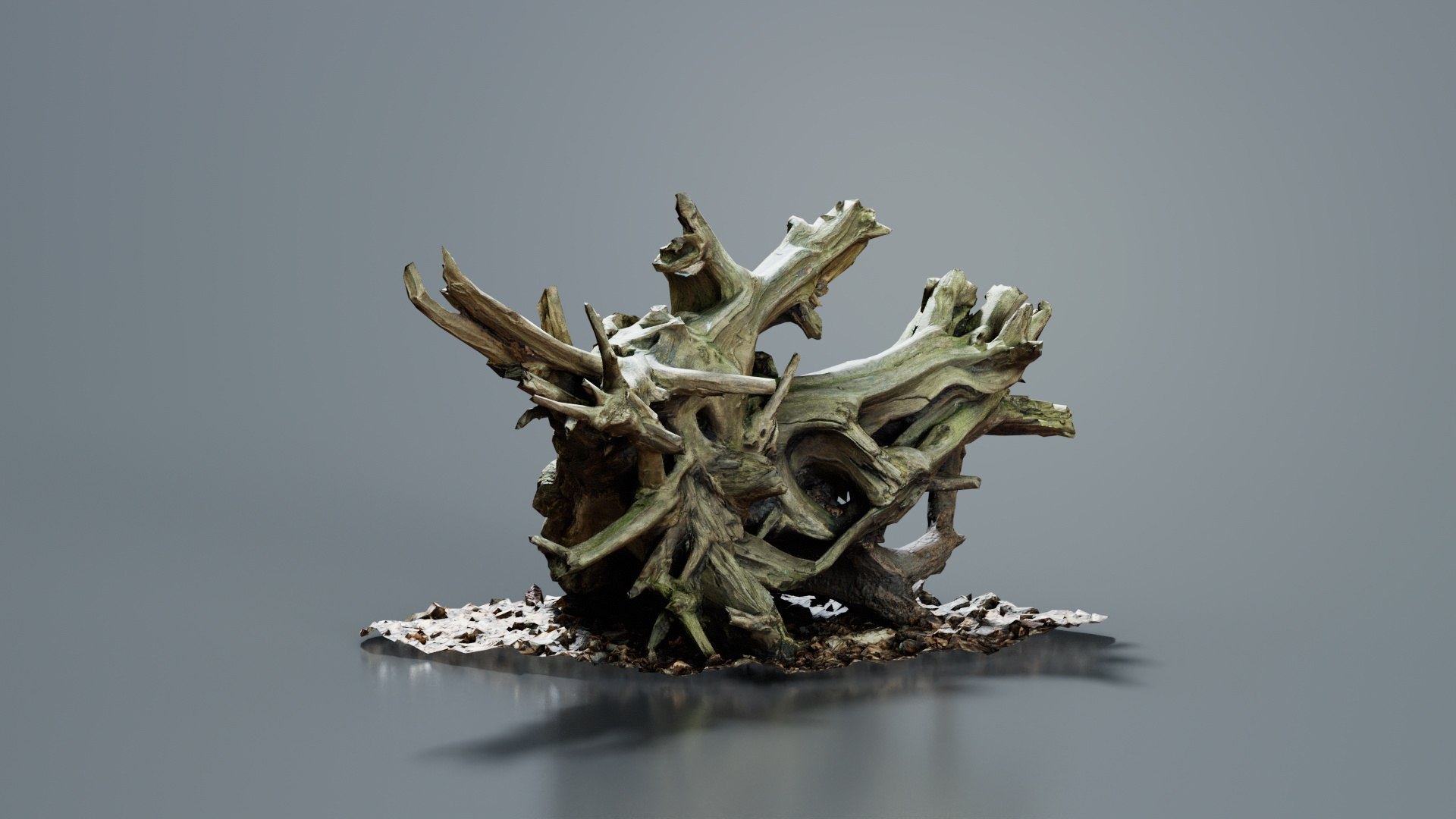 Intricate Tree Root Stump Remastered 3D Model - TurboSquid 2363145