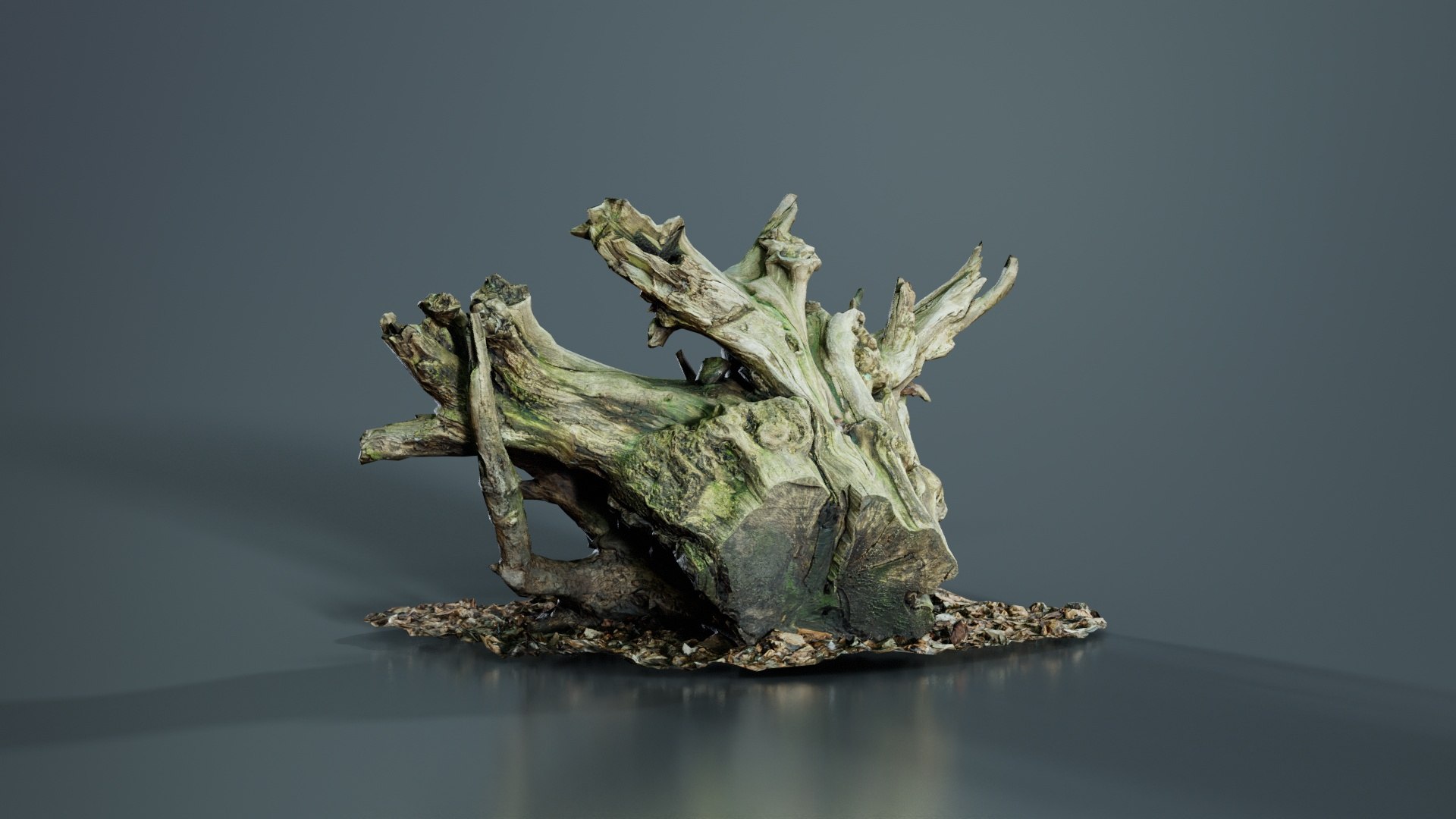 Intricate Tree Root Stump Remastered 3D Model - TurboSquid 2363145