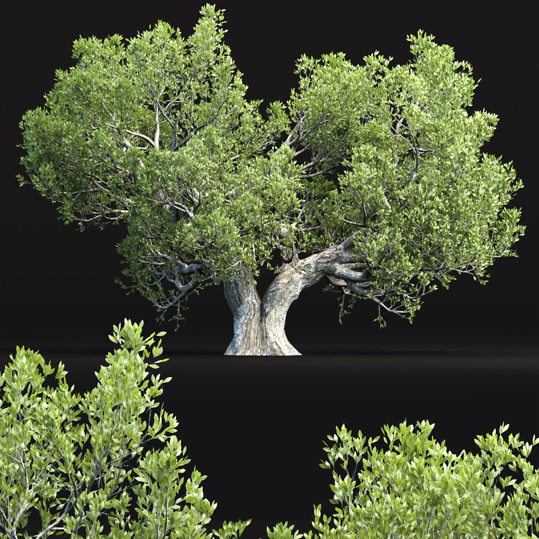 Natural Tree For Landscape Vol 219 3D Model - TurboSquid 2081841