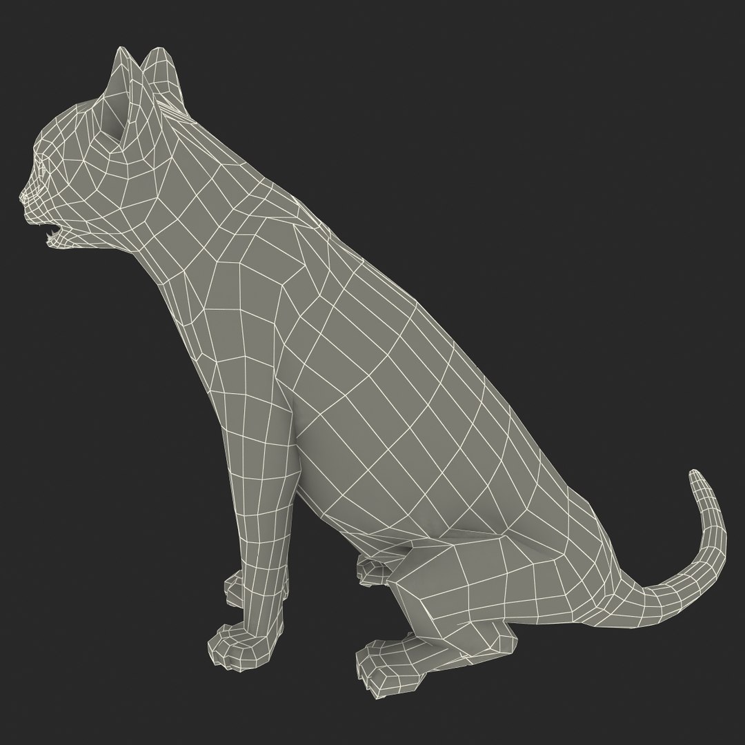 3d Cat 3 Pose
