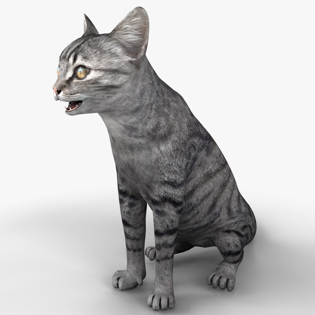 3d Cat 3 Pose